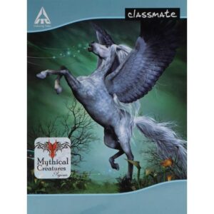 A4 Rough Notebook Ruled – 500 Pages (Recycled Paper) : Anjanibooks.com