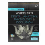 Wheeler’s Dental Anatomy, Physiology And Occlusion | Steven J Nelson ...