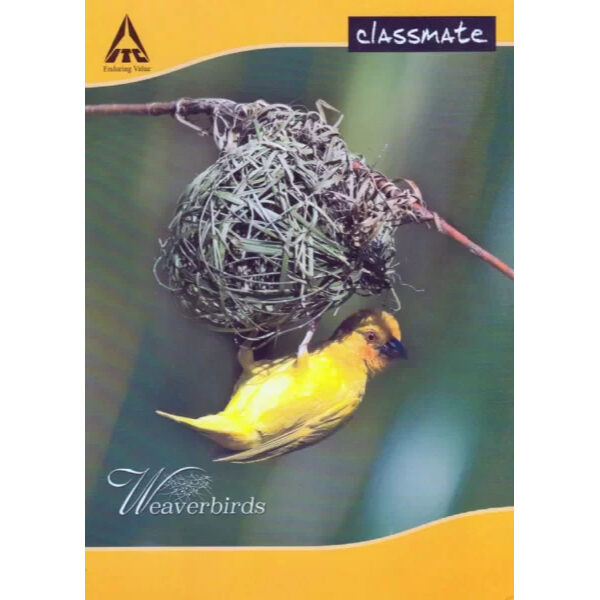 A4 Spiral Single Line Interleaf NoteBooks - 300 Pages : Anjanibooks.com